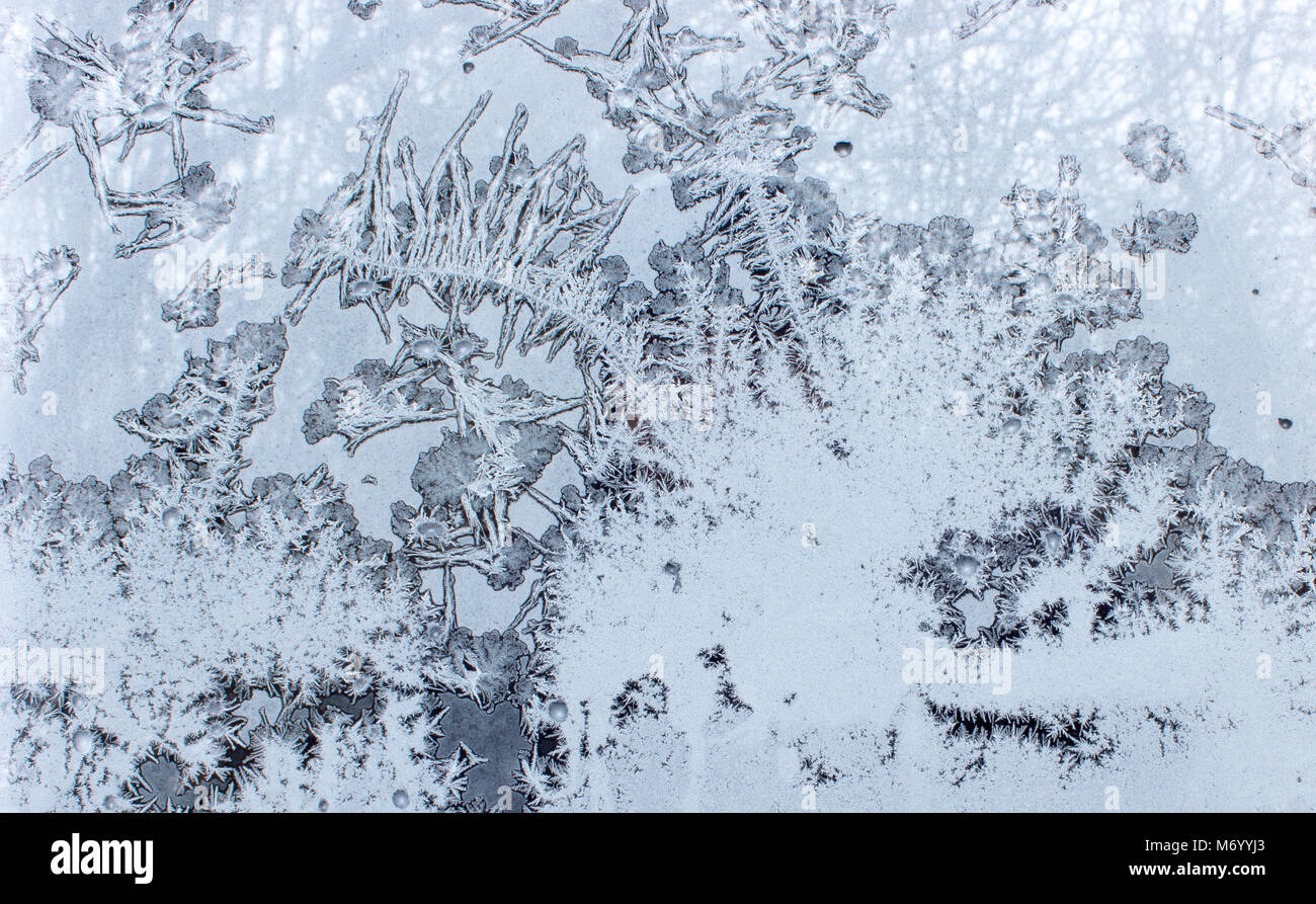 A view of tree branches through a frozen window. Frozen water on the ...