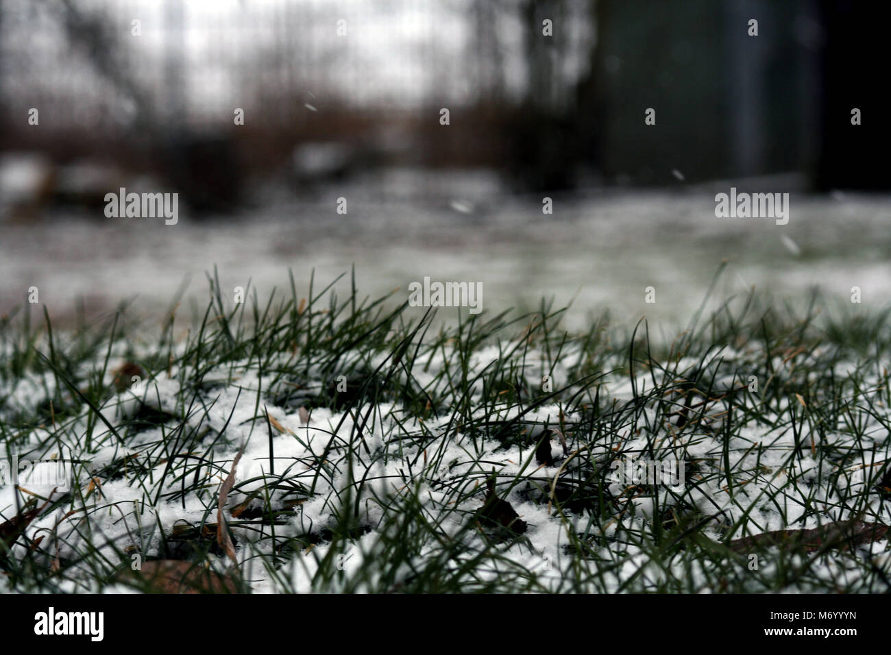 Grass weather hi-res stock photography and images - Alamy