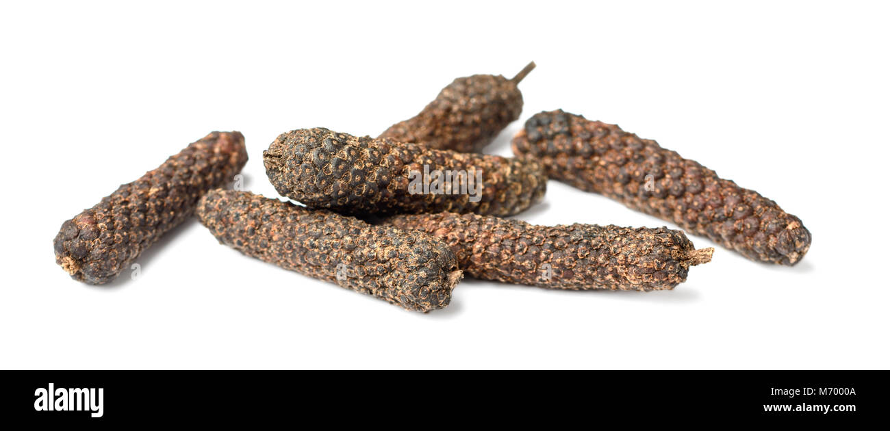 close up of dried long pepper isolated on white background Stock Photo ...
