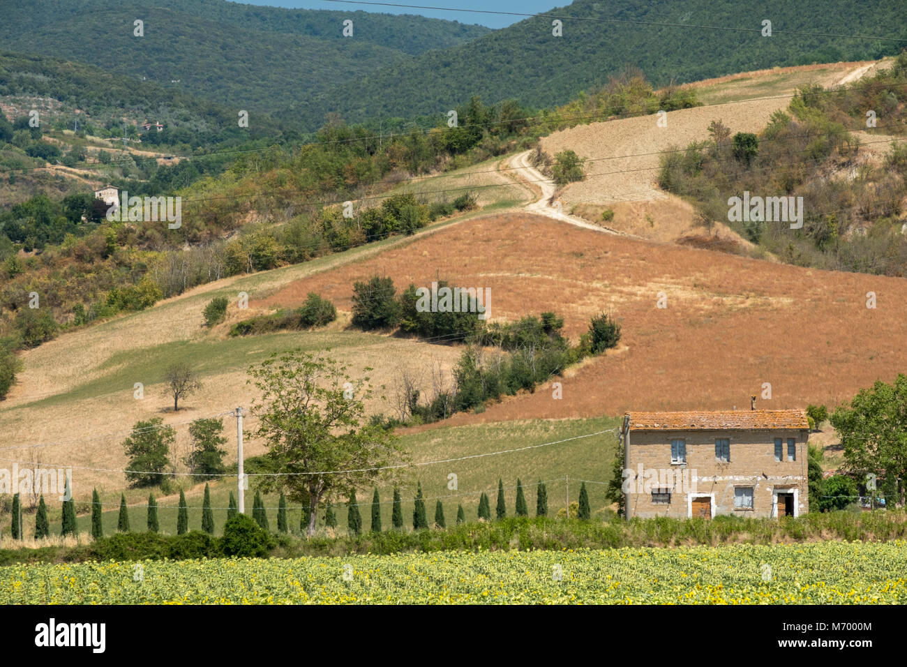 Rural landscape at summer in val Teverina near Alviano (Terni, Umbria ...
