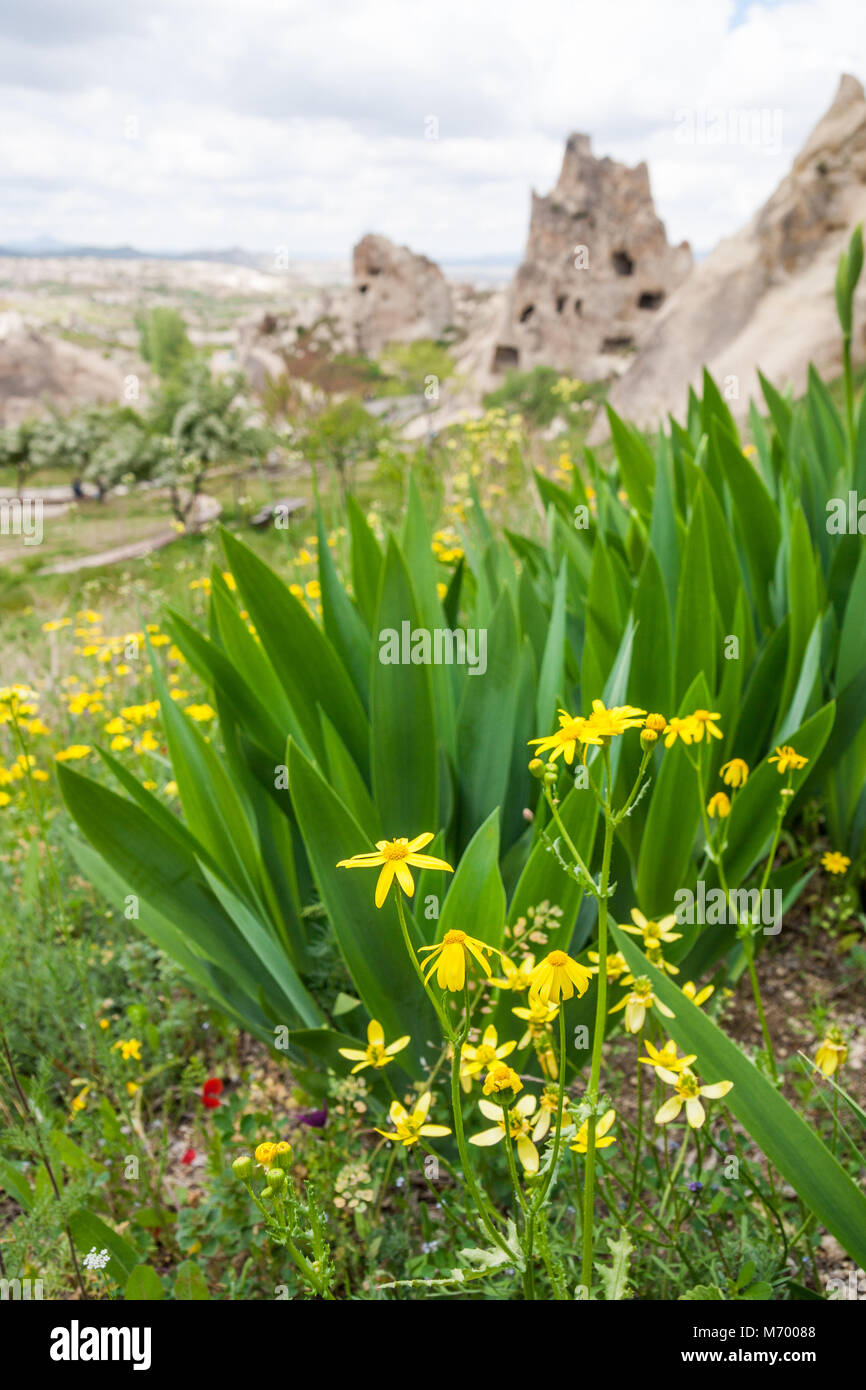 Capodocia valley , Turkey Stock Photo - Alamy