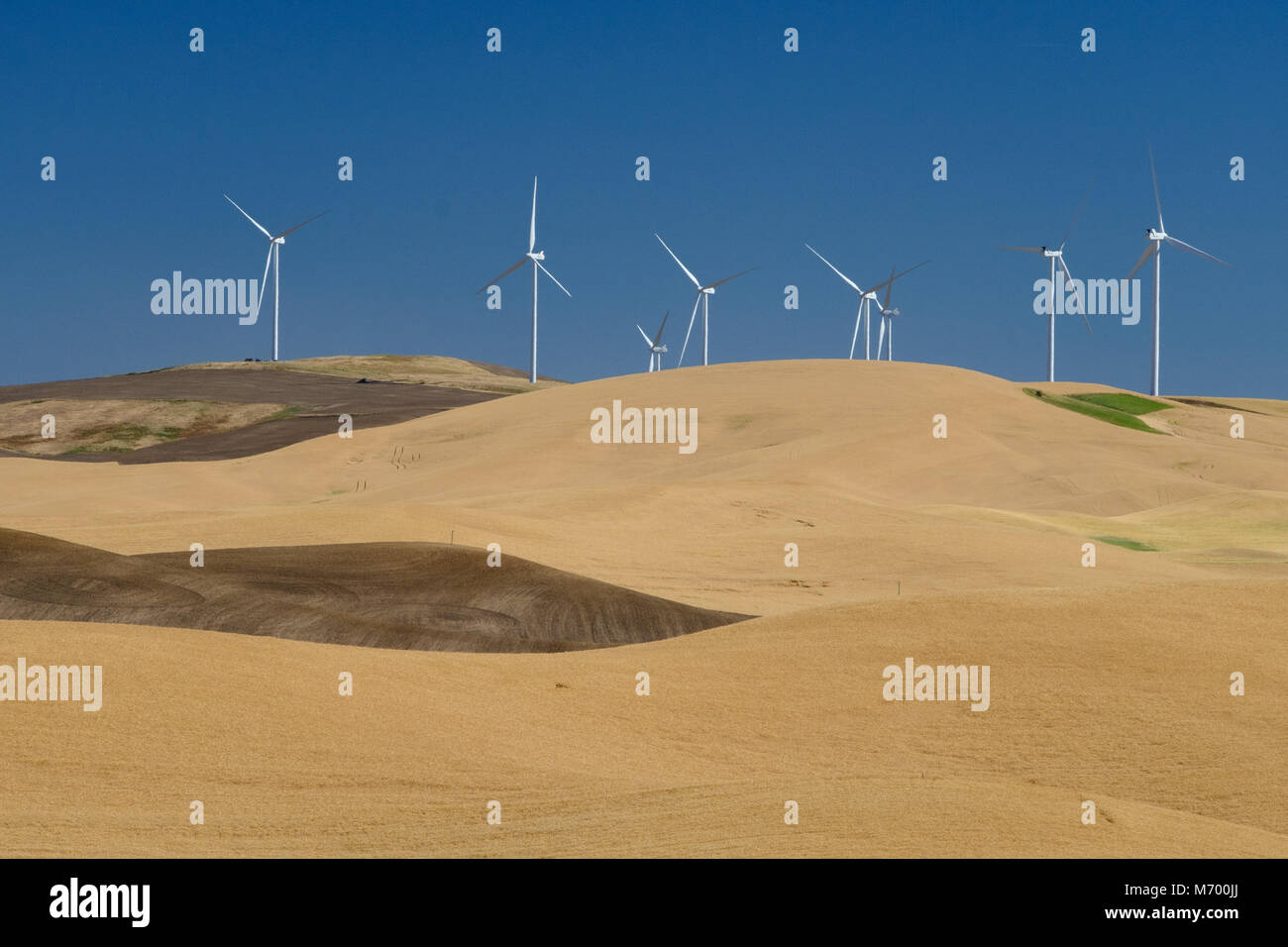 Palouse Wind Turbines Stock Photo - Alamy
