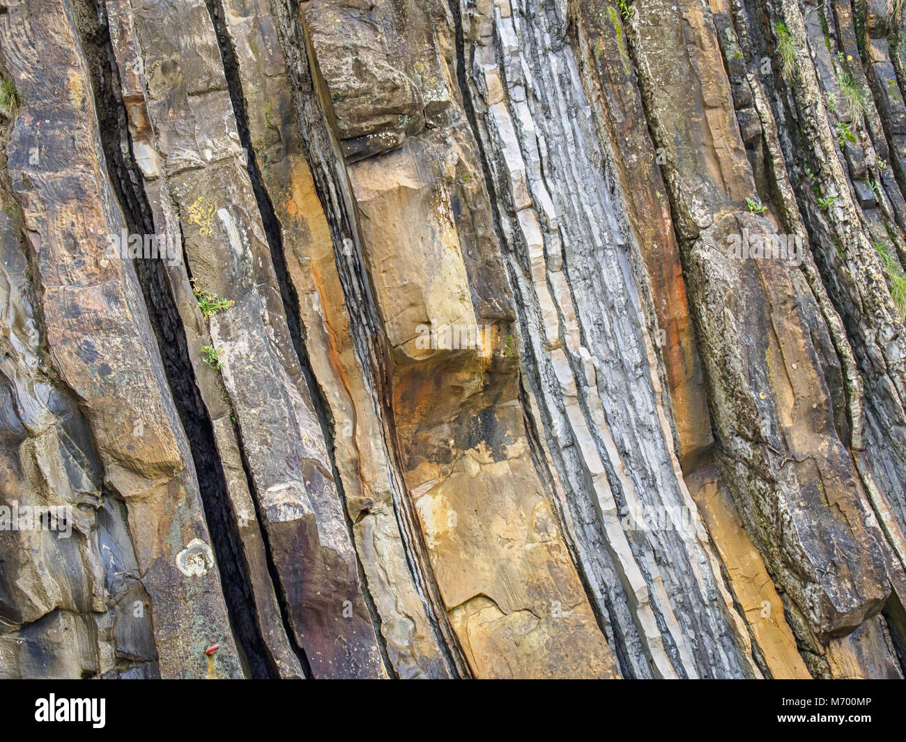 Rocky Beach Erosion Background High Resolution Stock Photography and ...