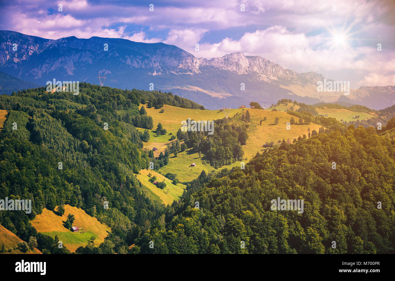 Summer alpine Transylvania landmark, landscape with green fields and ...