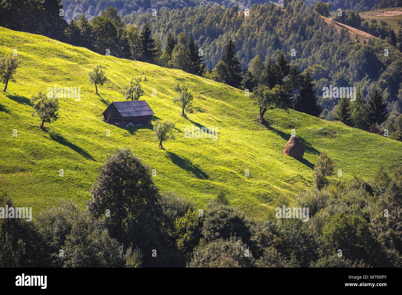 Summer alpine Transylvania landmark, landscape with green fields and ...