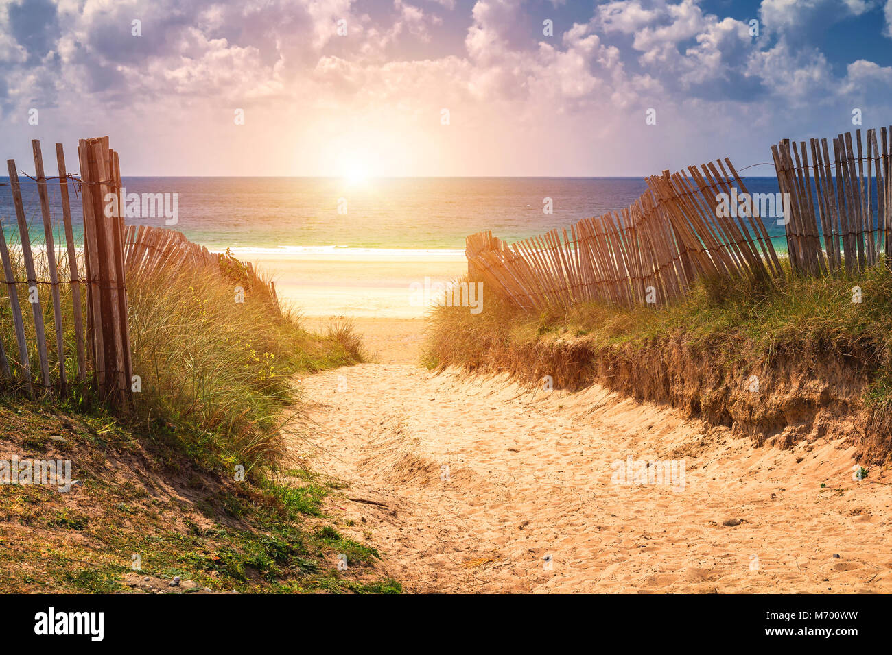 Path to sand beach with beachgrass. Way to the wide sandy beaches of ...