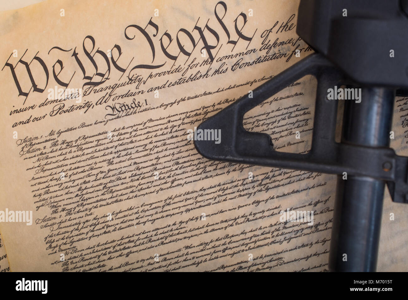 Constitution of the United States with the front sight of a rifle ...