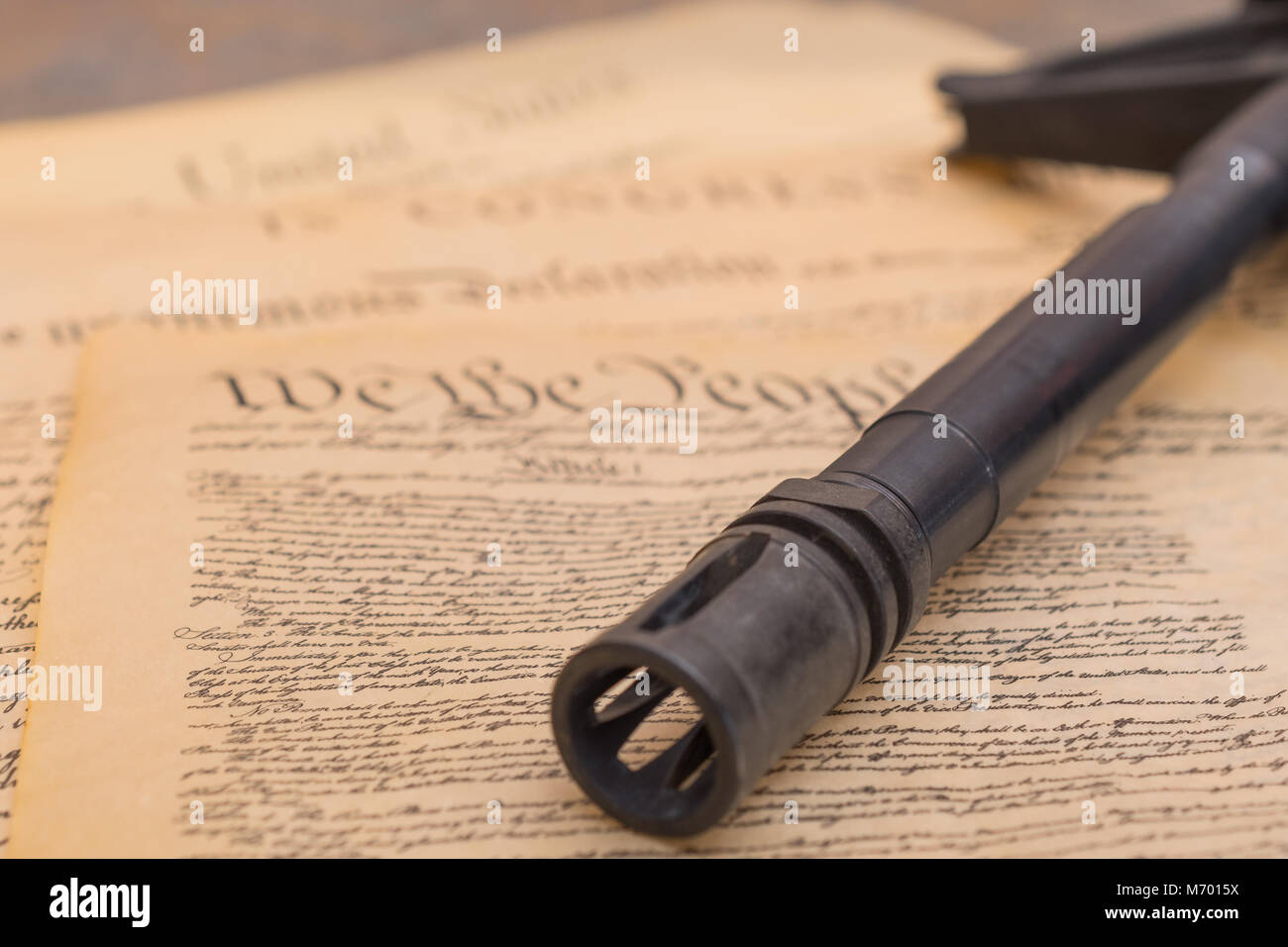 Constitution of the United States with the front sight of a rifle ...