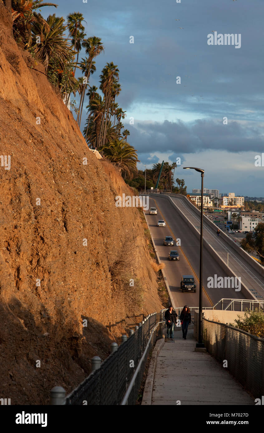 Los angeles palm trees street hi-res stock photography and images - Alamy