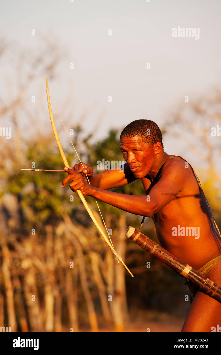 Ju/'Hoansi or San bushmen hunters in the african bush. Many tourists ...