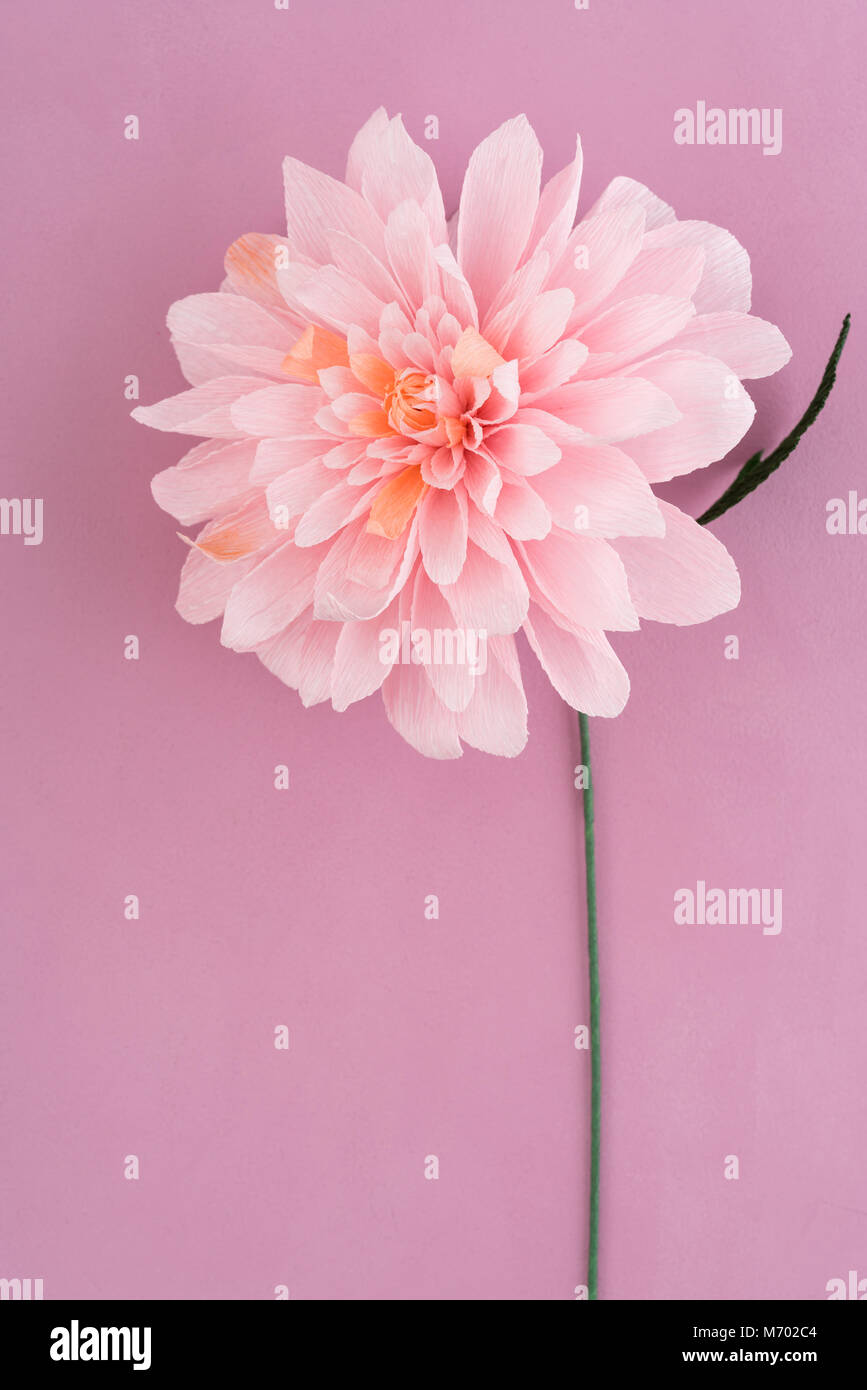 Crepe paper dahlia Stock Photo - Alamy