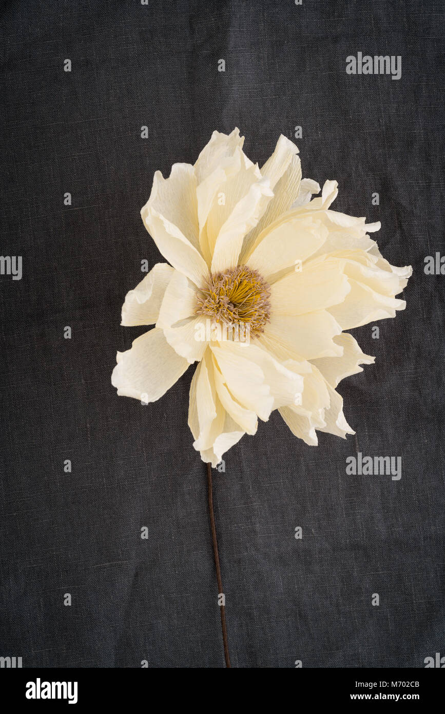 Faded charm hi-res stock photography and images - Alamy