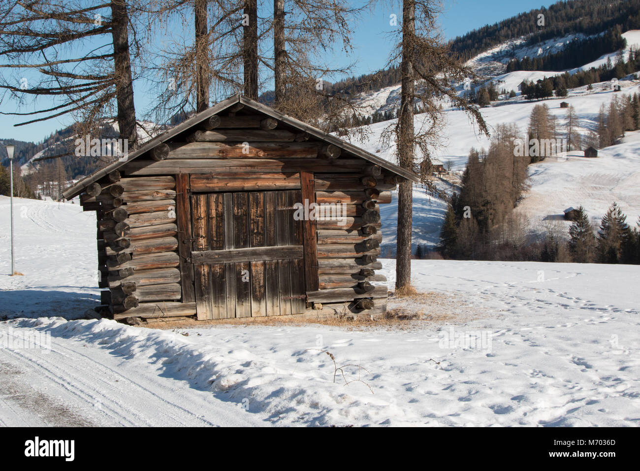 Small Wooden Shack Among Trees in Winter day with Fresh Snow in the ...