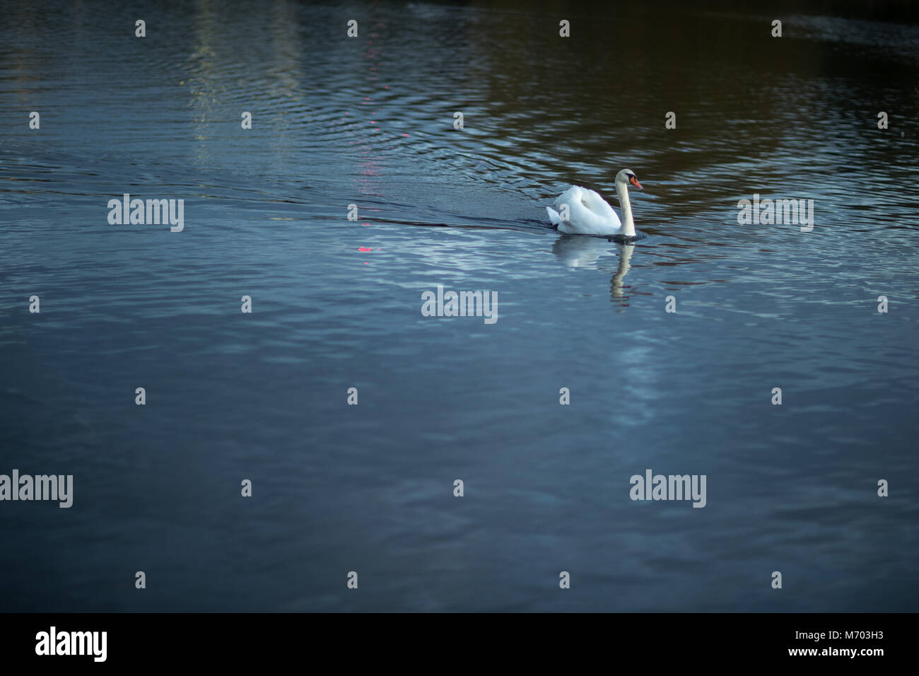 London nature hi-res stock photography and images - Alamy