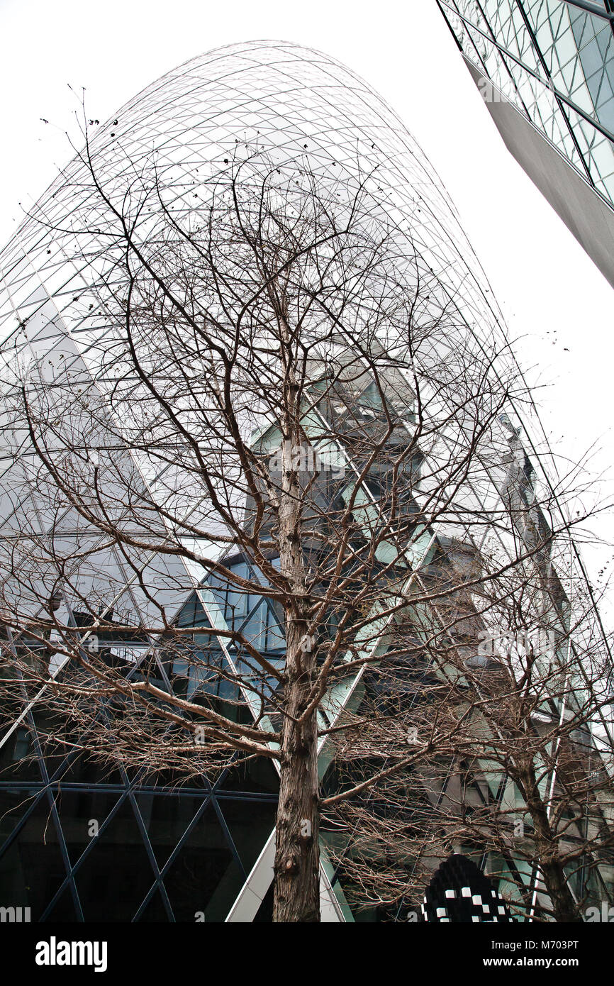 Neighbouring tree hi-res stock photography and images - Alamy