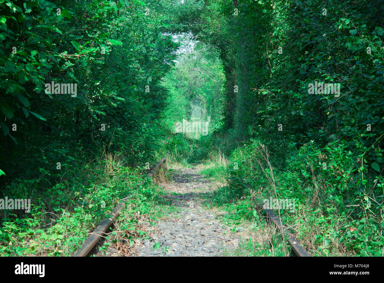 the tunnel of love in Romania, railroad crossing the forest Stock Photo ...
