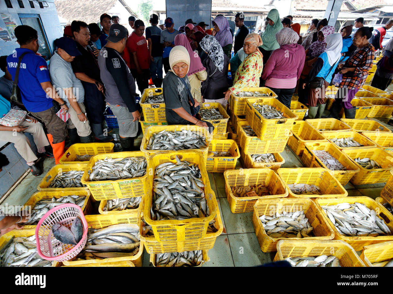 Batang fish hi-res stock photography and images - Alamy