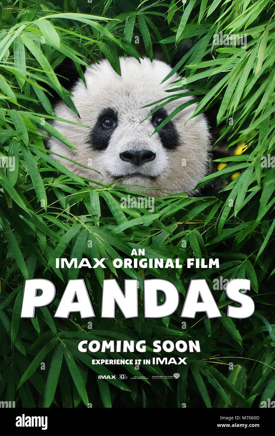 PANDAS, US advance poster, 2018. © Warner Bros. Pictures/courtesy ...