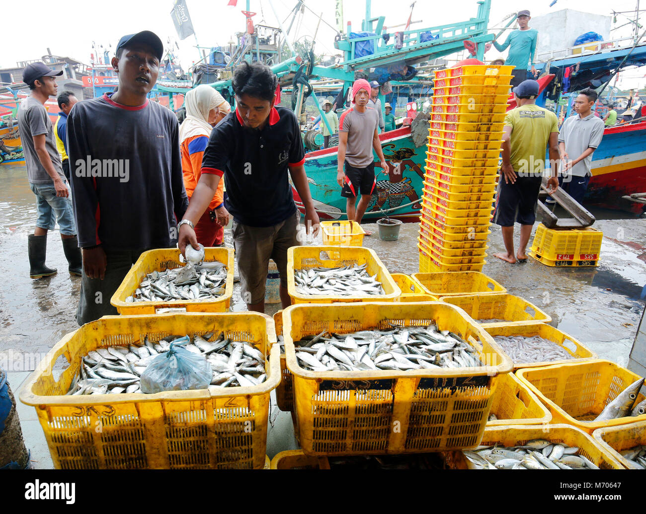 Batang fish hi-res stock photography and images - Alamy