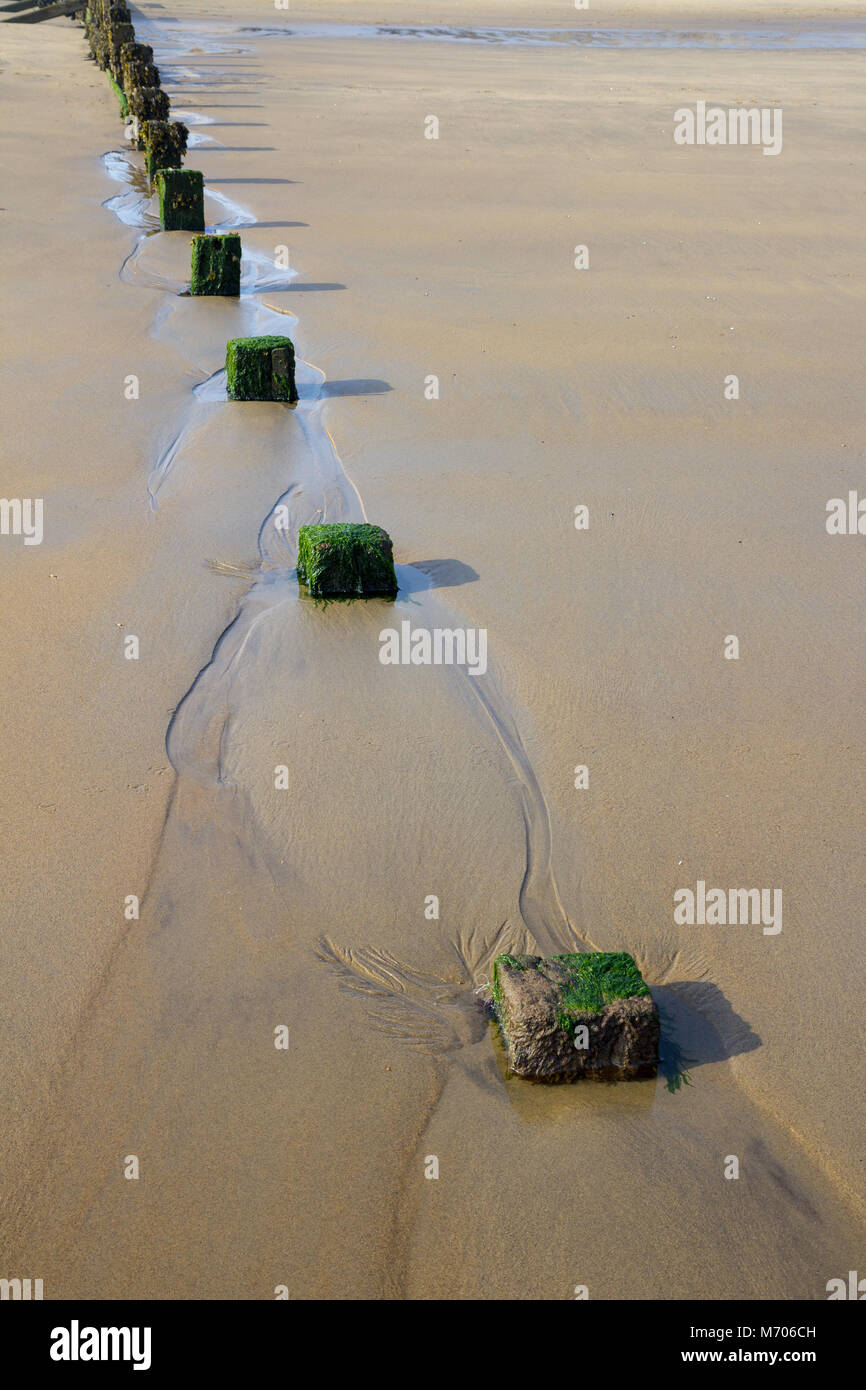Line of Posts in the Sand Stock Photo - Alamy