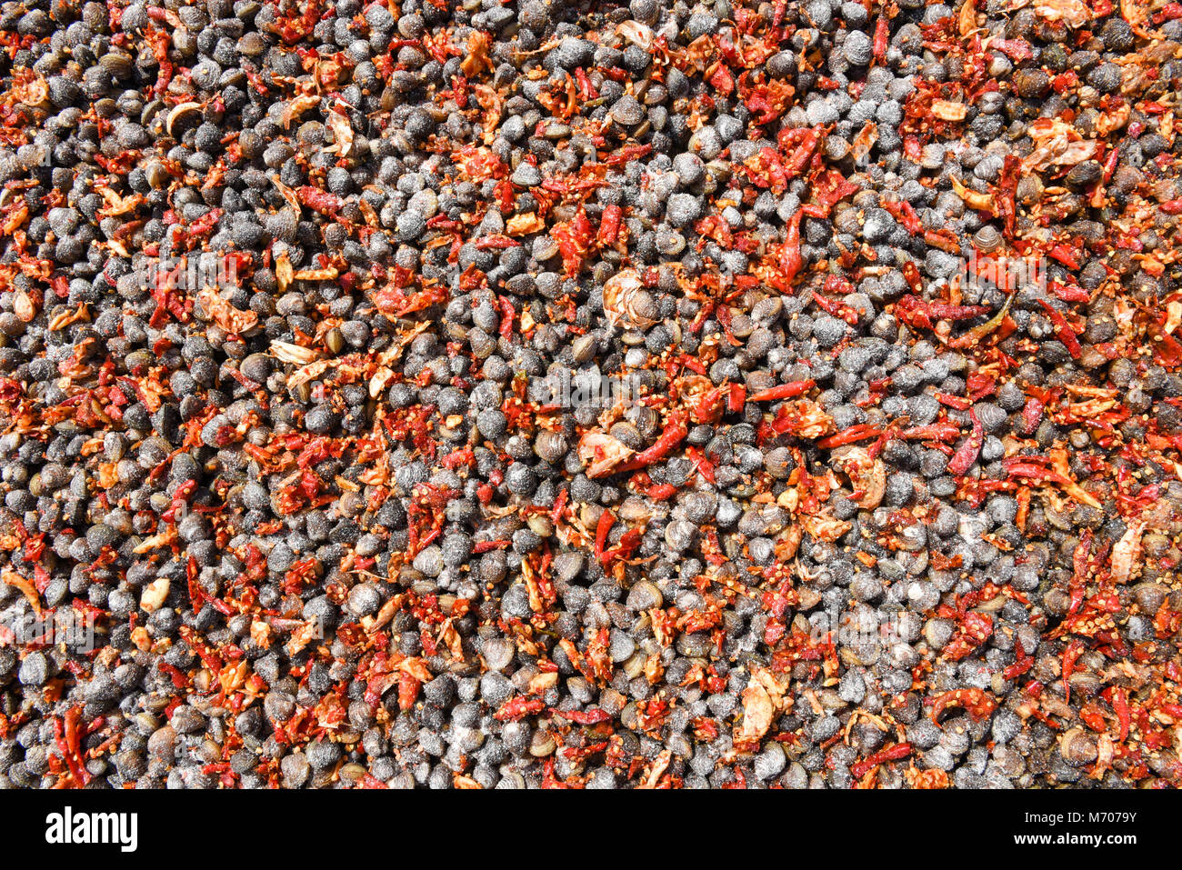 Shells and chilli for background and texture Stock Photo - Alamy