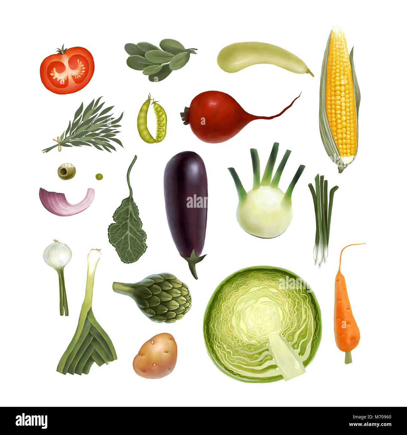 Hand-drawn vegetables, isolated on transparent background: tomato ...