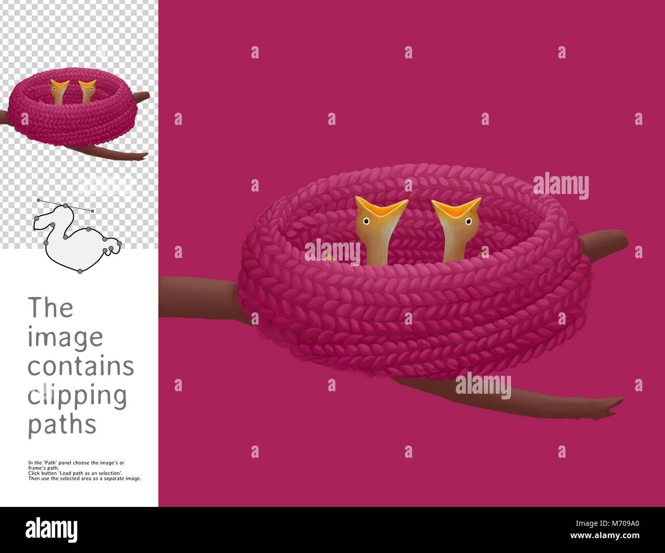 Dodo bird nest hi-res stock photography and images - Alamy