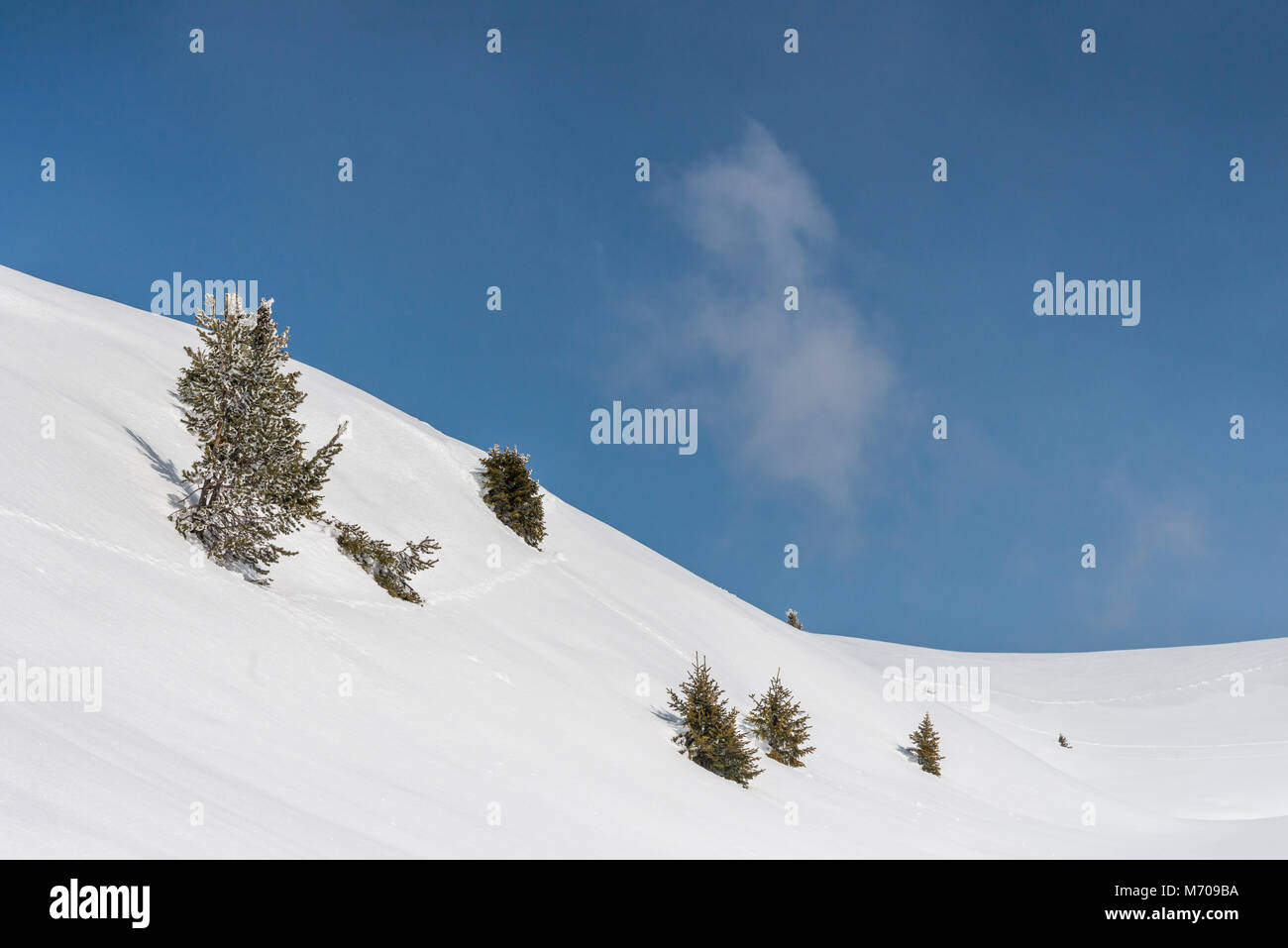 Winter snow scenes in the mountains of the Sellrain Alps in the ...