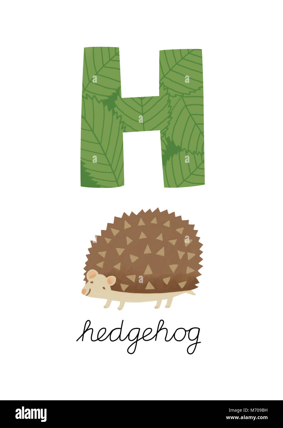 Letter h hedgehog hi-res stock photography and images - Alamy