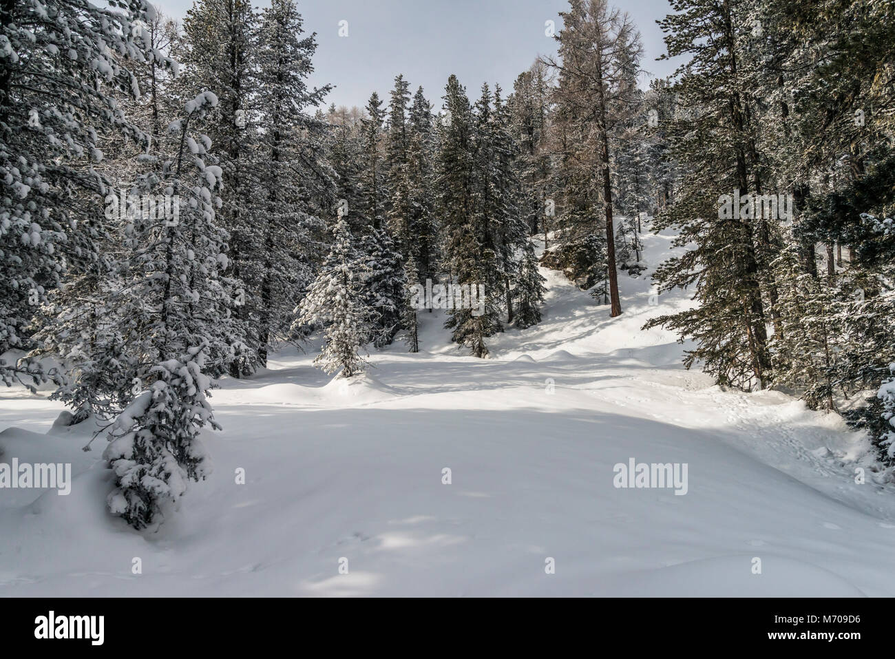 Winter snow scenes in the mountains of the Sellrain Alps in the ...
