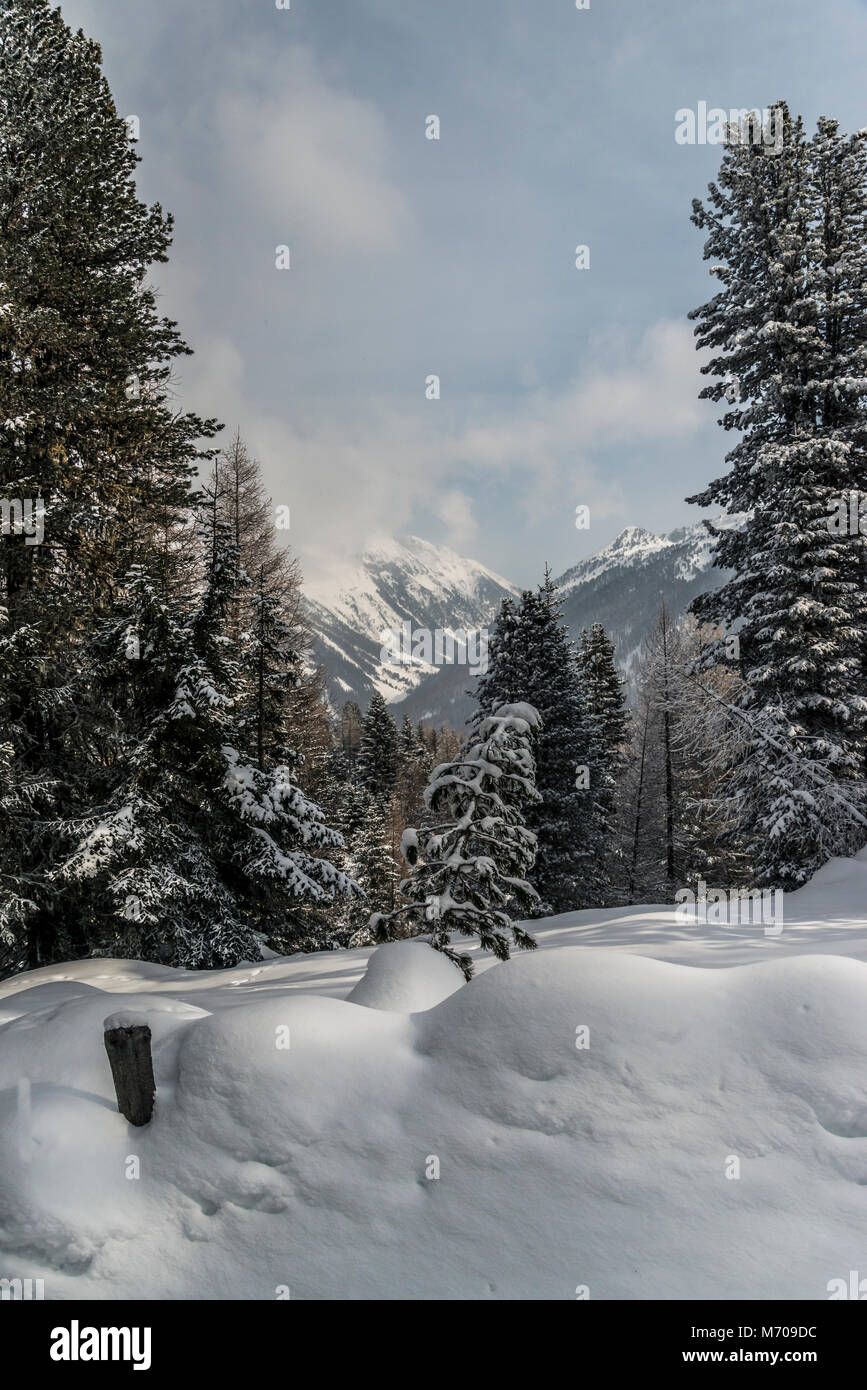 Winter snow scenes in the mountains of the Sellrain Alps in the ...