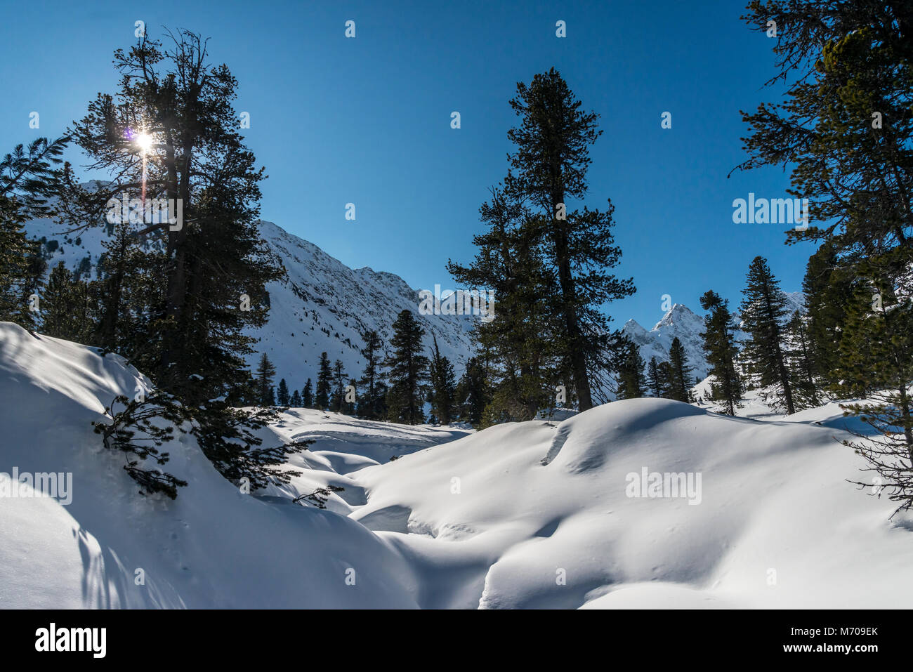 Winter snow scenes in the mountains of the Sellrain Alps in the ...