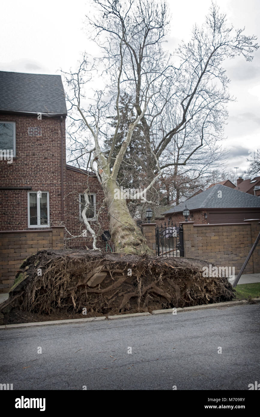 Londonoplane hi-res stock photography and images - Alamy