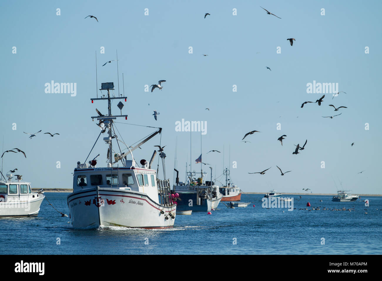 Chatham fishing pier hi-res stock photography and images - Alamy