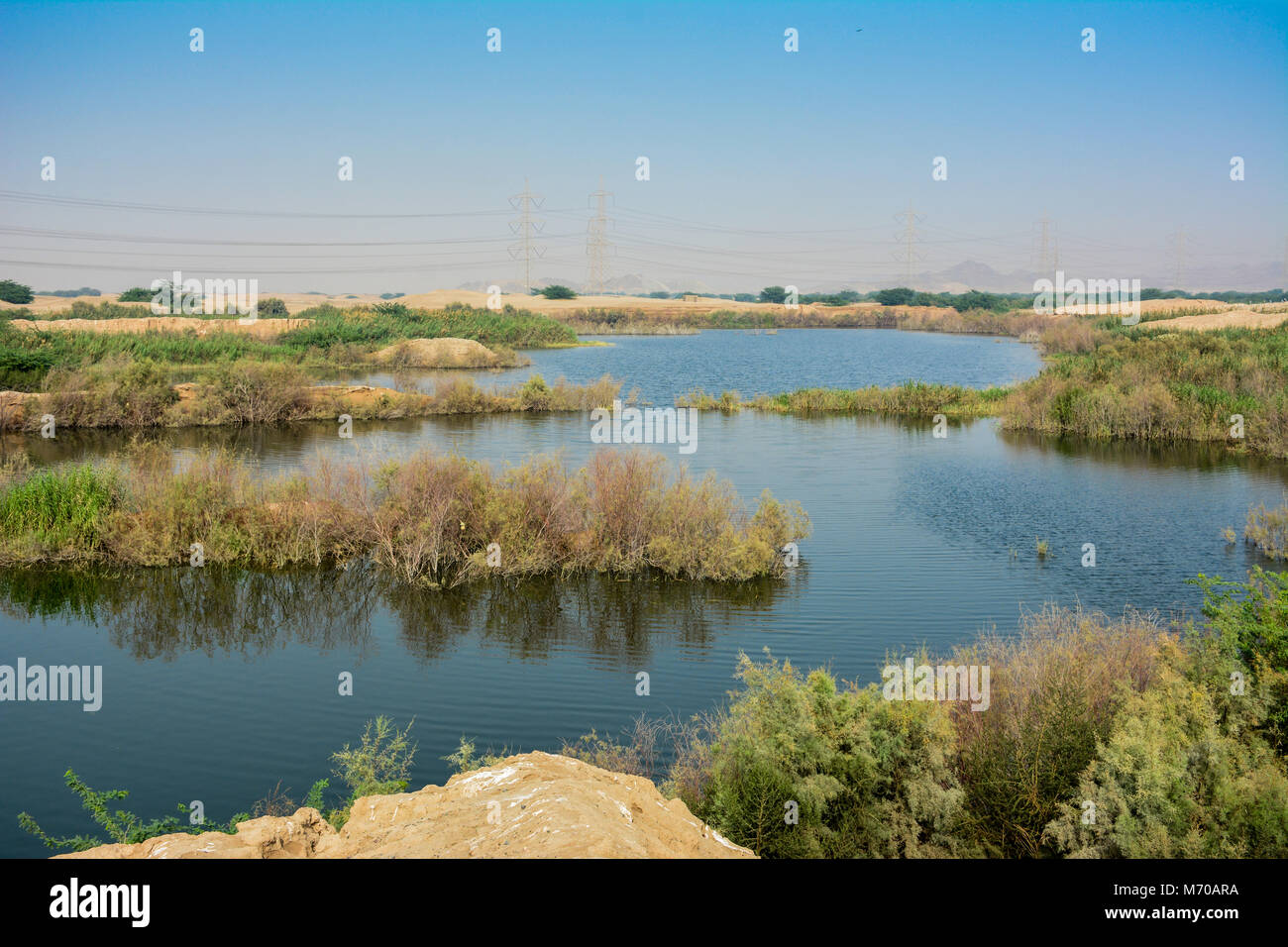 green valley desert lake in jeddah, Saudi arabia Stock Photo - Alamy