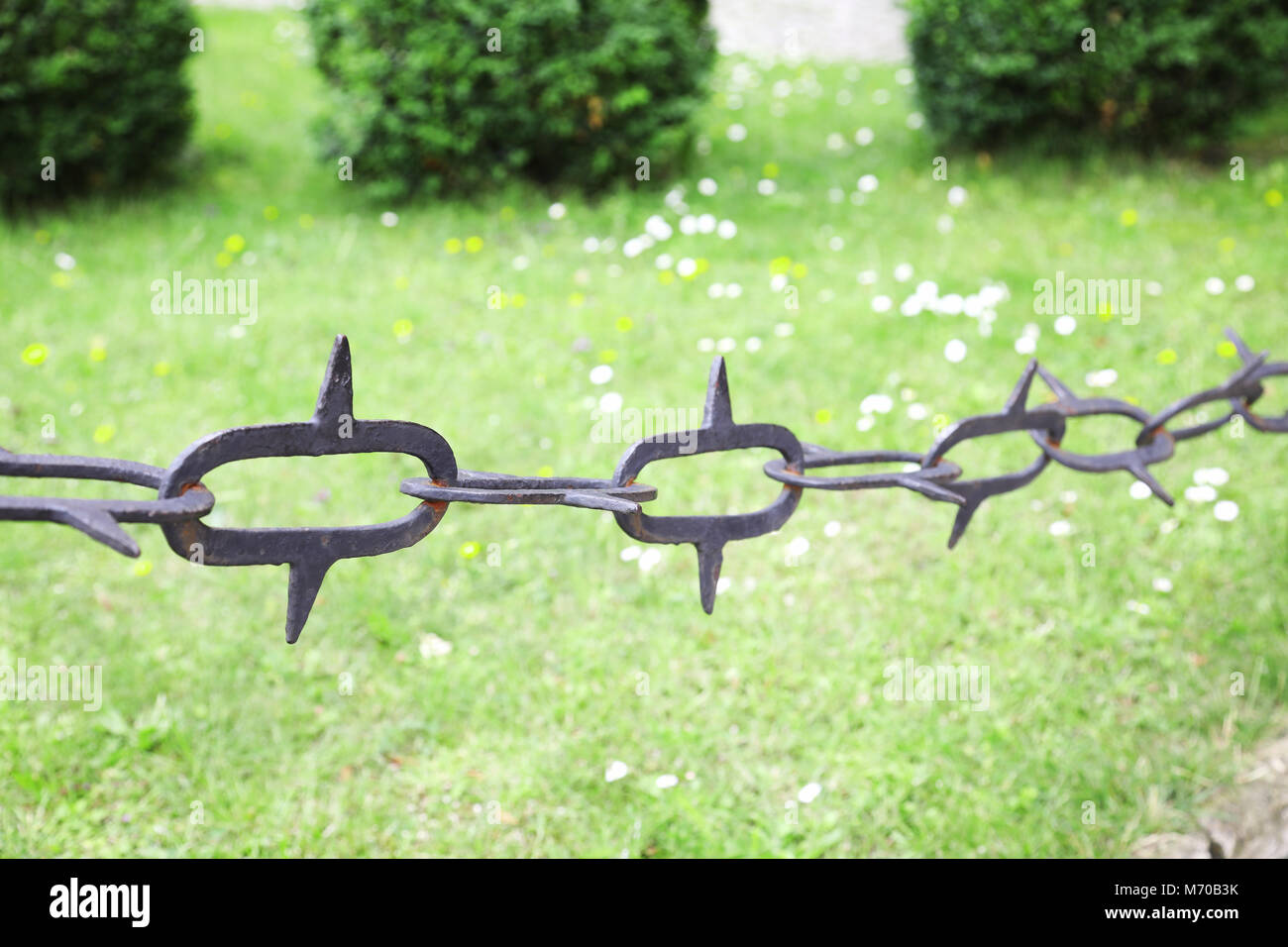 Strong spines hi-res stock photography and images - Alamy