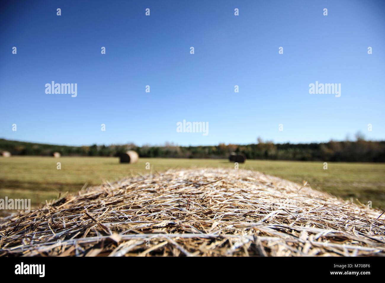 Hay bale ball hi-res stock photography and images - Alamy