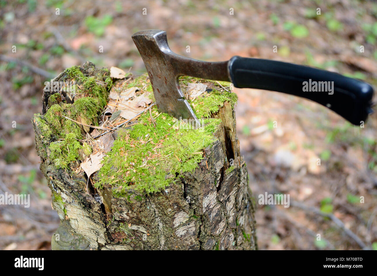 Axe in tree stump hi-res stock photography and images - Alamy