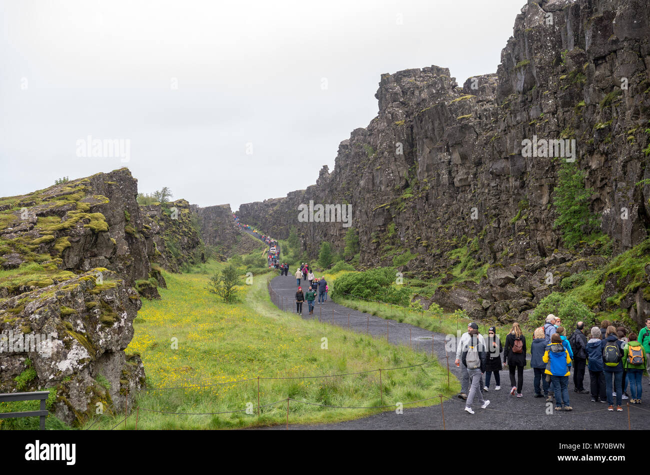 Almannagja fault thingvellir hi-res stock photography and images - Alamy