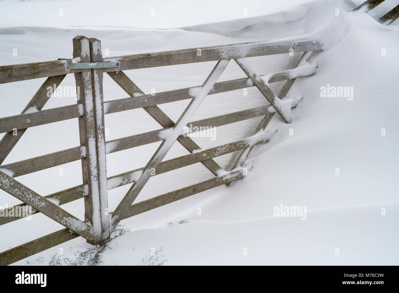 Traditional Wooden Gates High Resolution Stock Photography and Images ...