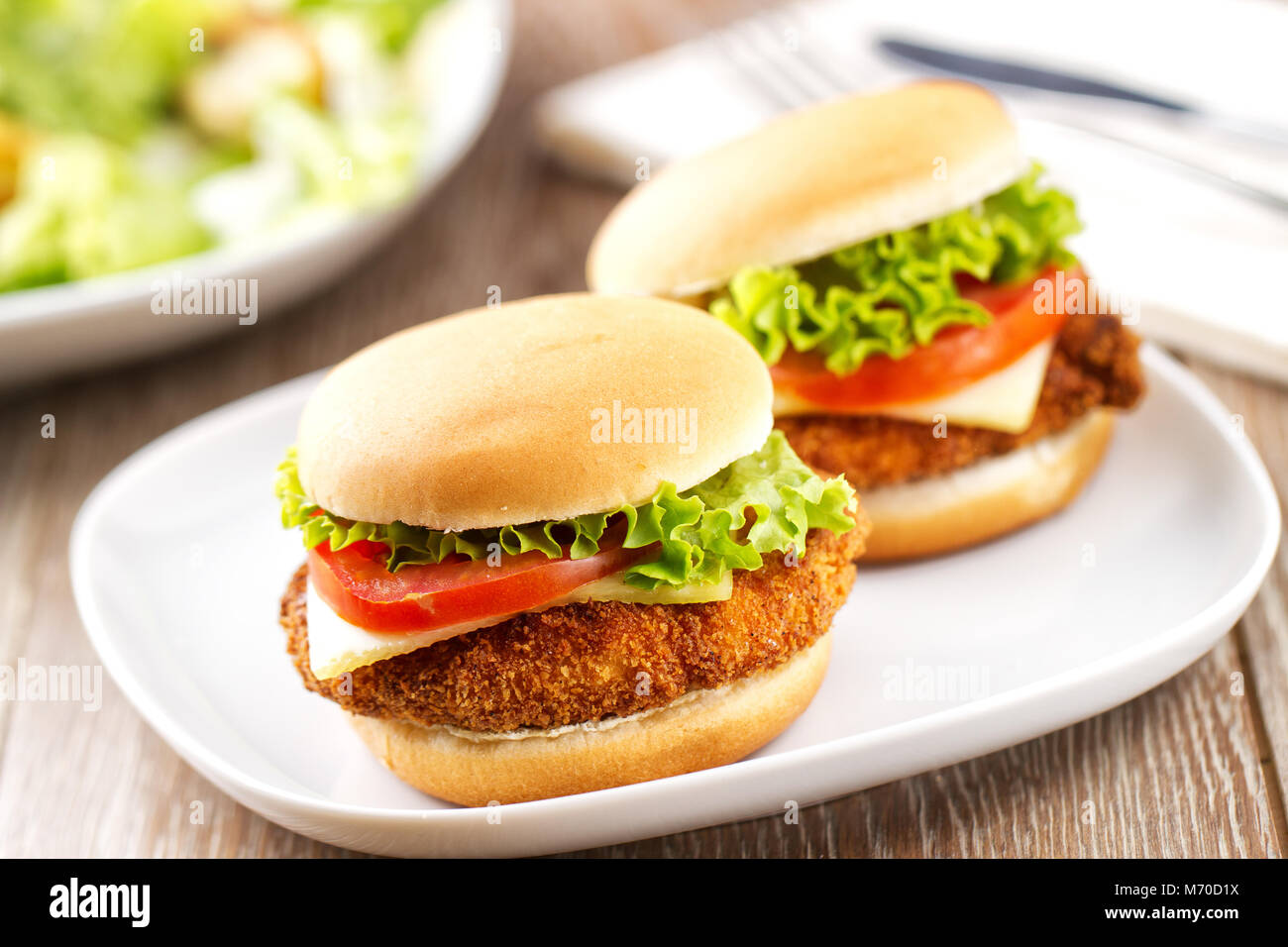 Hanburger hi-res stock photography and images - Alamy