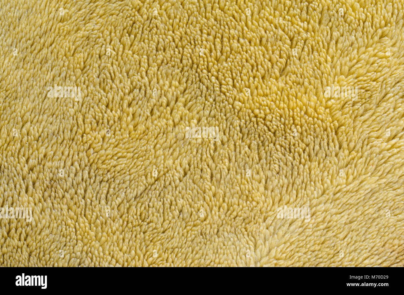 Faux fur background close-up. Artificial fur with short pile blank ...