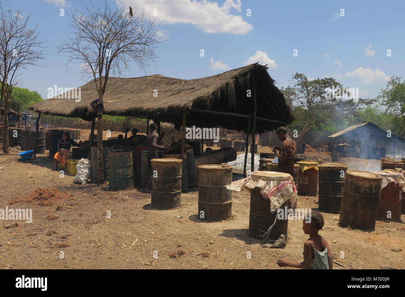 Spirit destilling in a village, Madagascar Stock Photo - Alamy