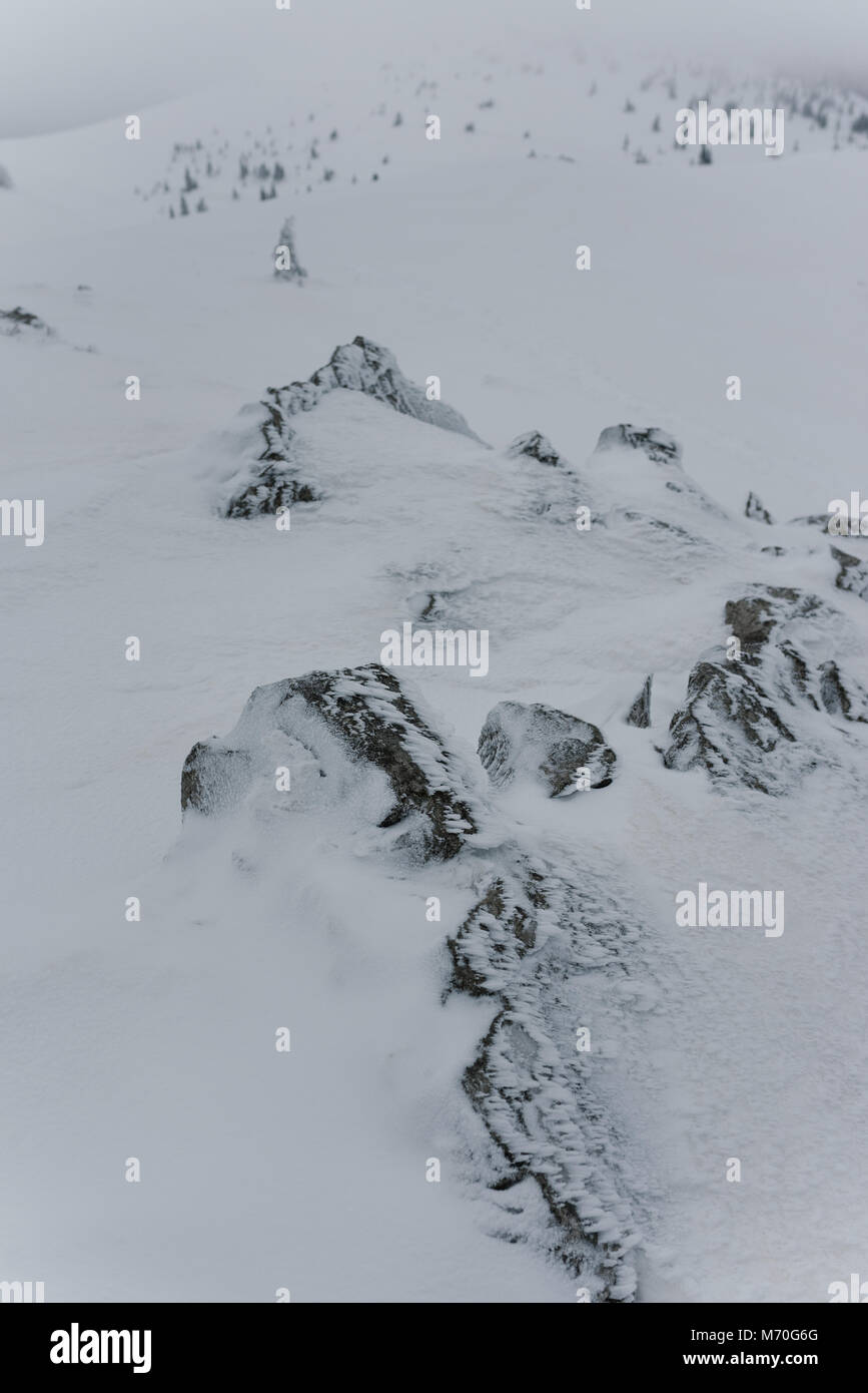 Frozen rock on the ground Stock Photo - Alamy