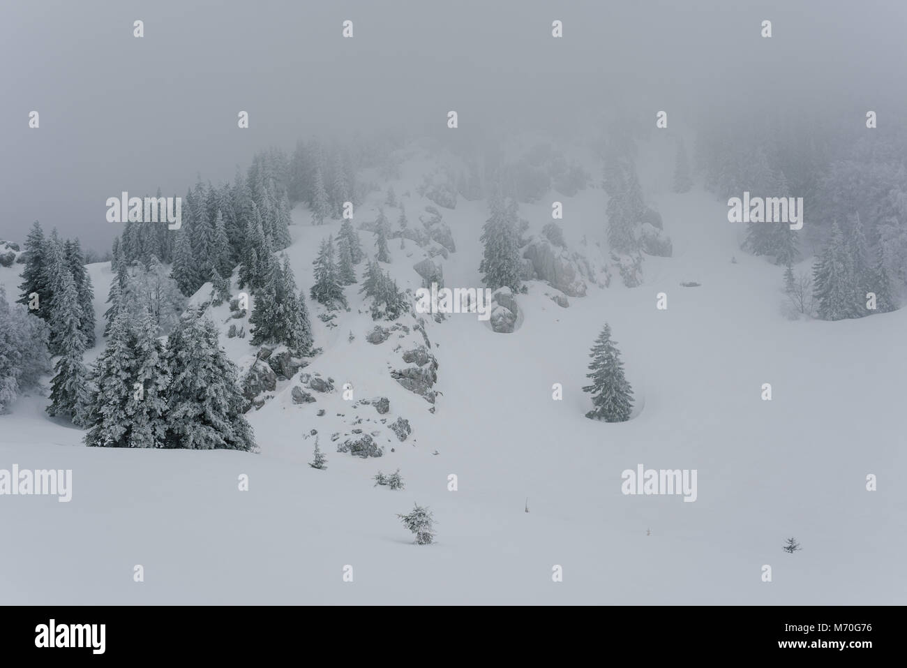 Blizzard arctic hi-res stock photography and images - Alamy