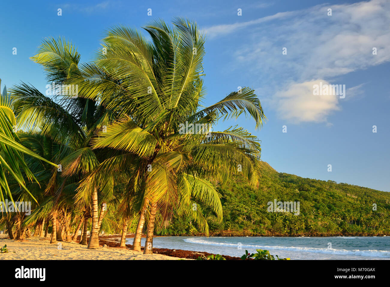 The Rincon beach on Dominican Republic Stock Photo - Alamy