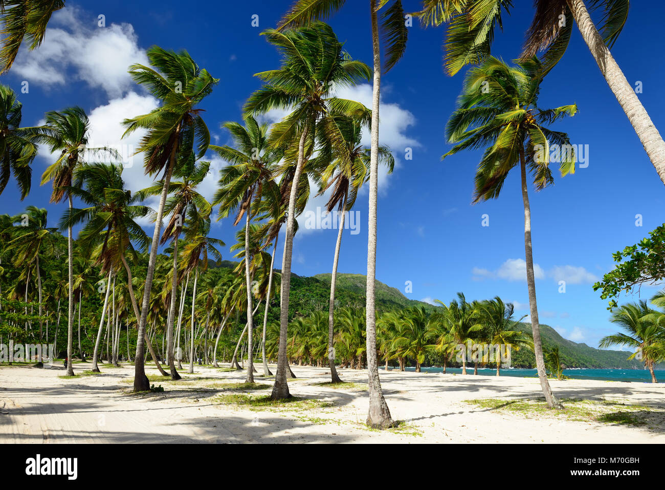 The Rincon beach on Dominican Republic Stock Photo - Alamy