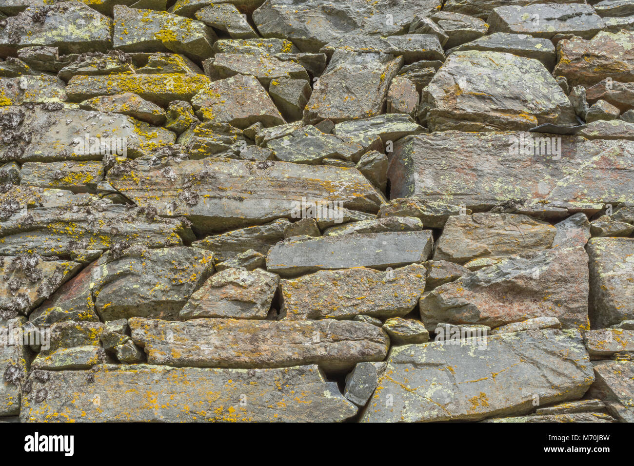 Old natural schist texture pattern Stock Photo - Alamy
