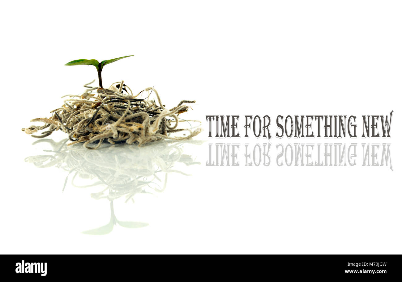 Time for reflection Cut Out Stock Images & Pictures - Alamy