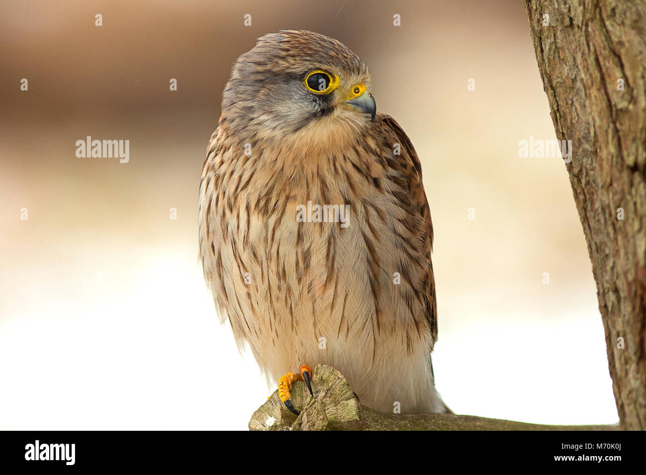 Dangerous peak hi-res stock photography and images - Alamy